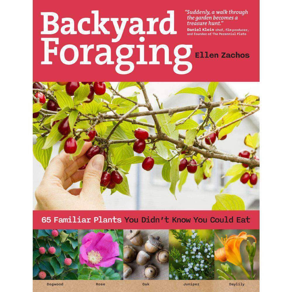 Backyard Foraging: 65 Familiar Plants You Didn’t Know You Could Eat – farmability2s.co.za